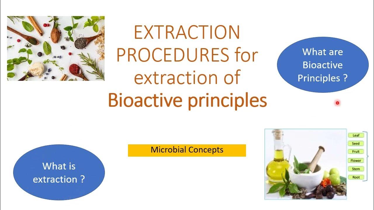Extraction procedures used for extraction of Bioactive principles | MSc ...