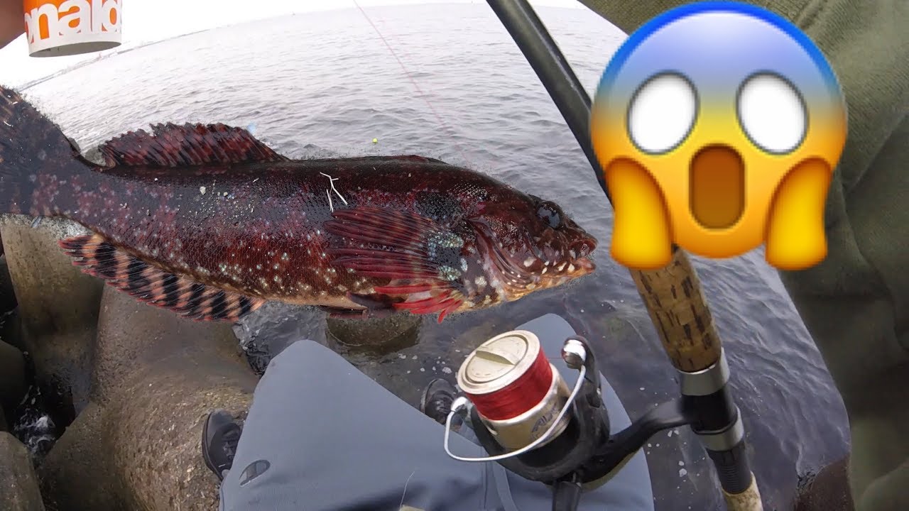 Treacherous Saltwater Fishing On Rocks In Japan - YouTube