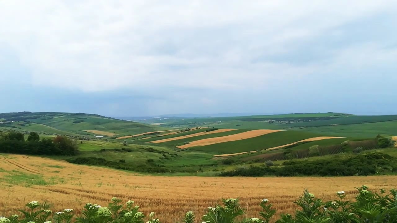 Hills of yellow and green - YouTube