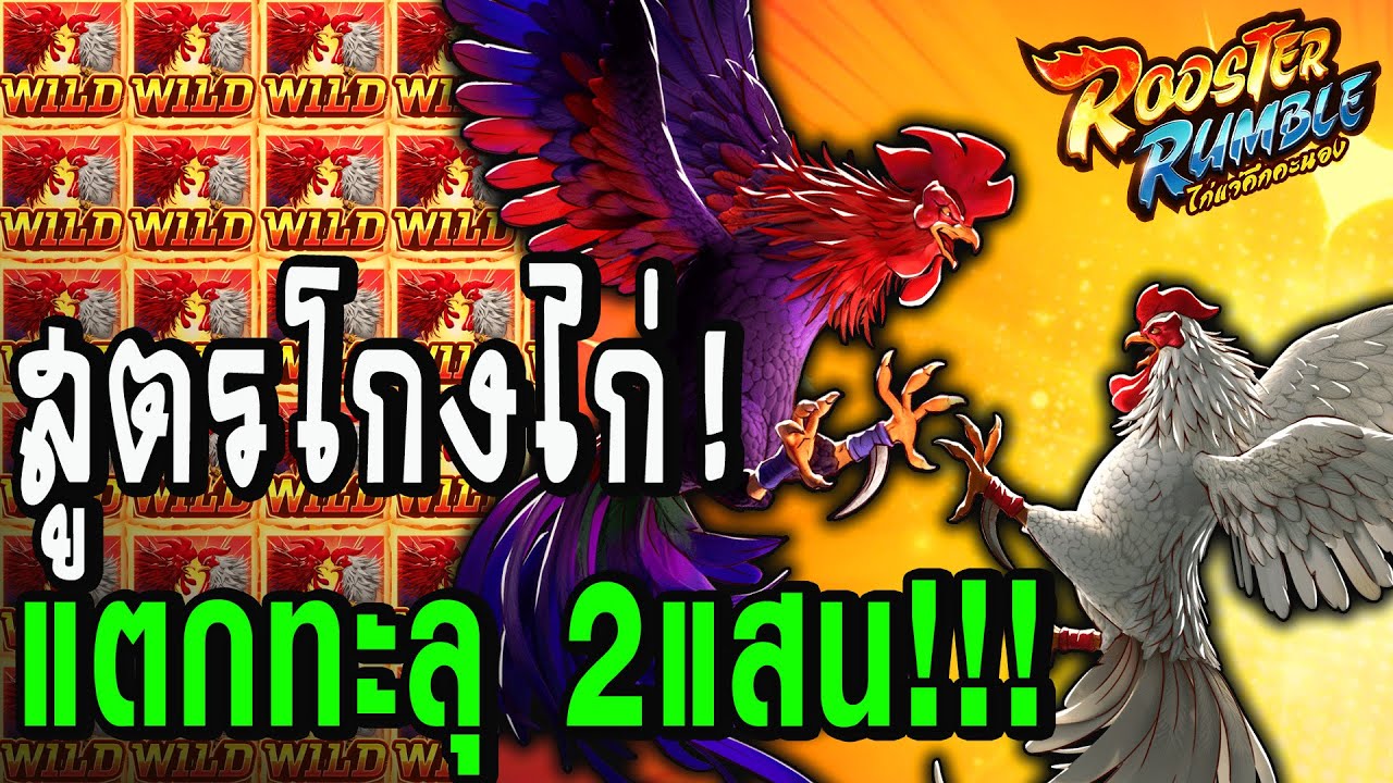 Rooster rumble ♠ PG ไก่แจ้คึกคะนอง สล็อต PG สูตรโกงไก่ ทุน200 แตกยับ ...