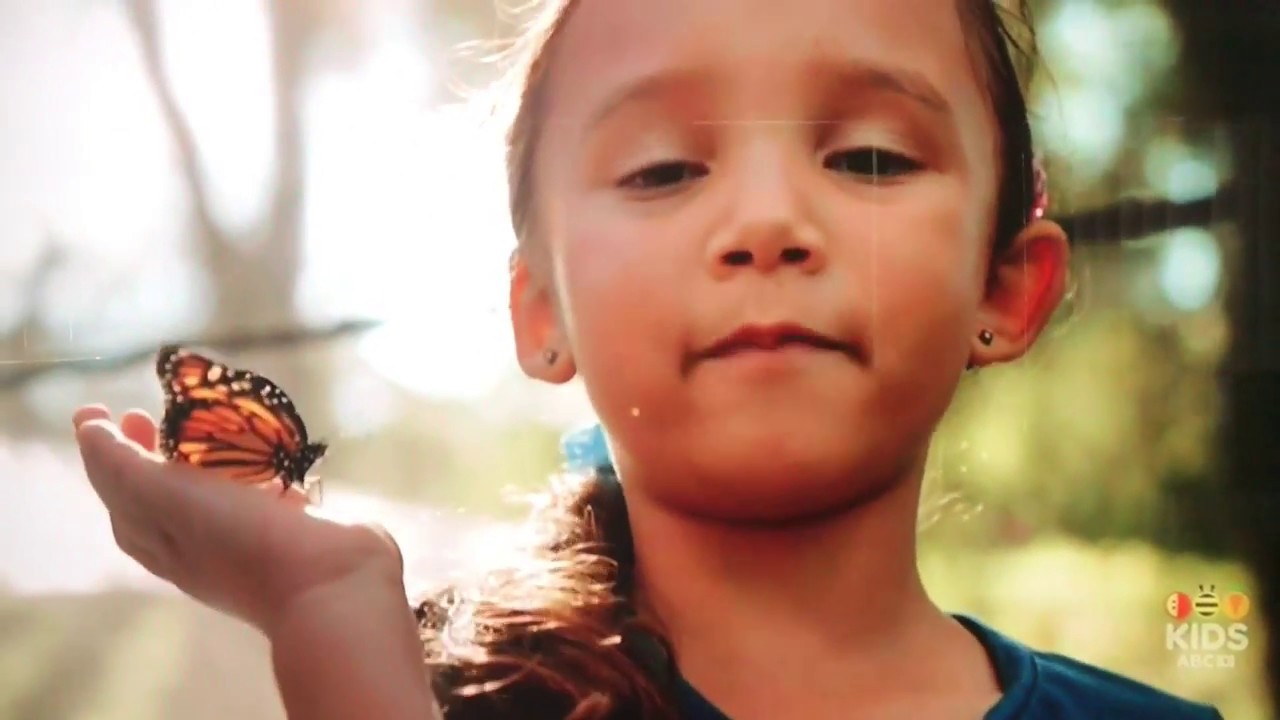 Butterfly Experience - YouTube