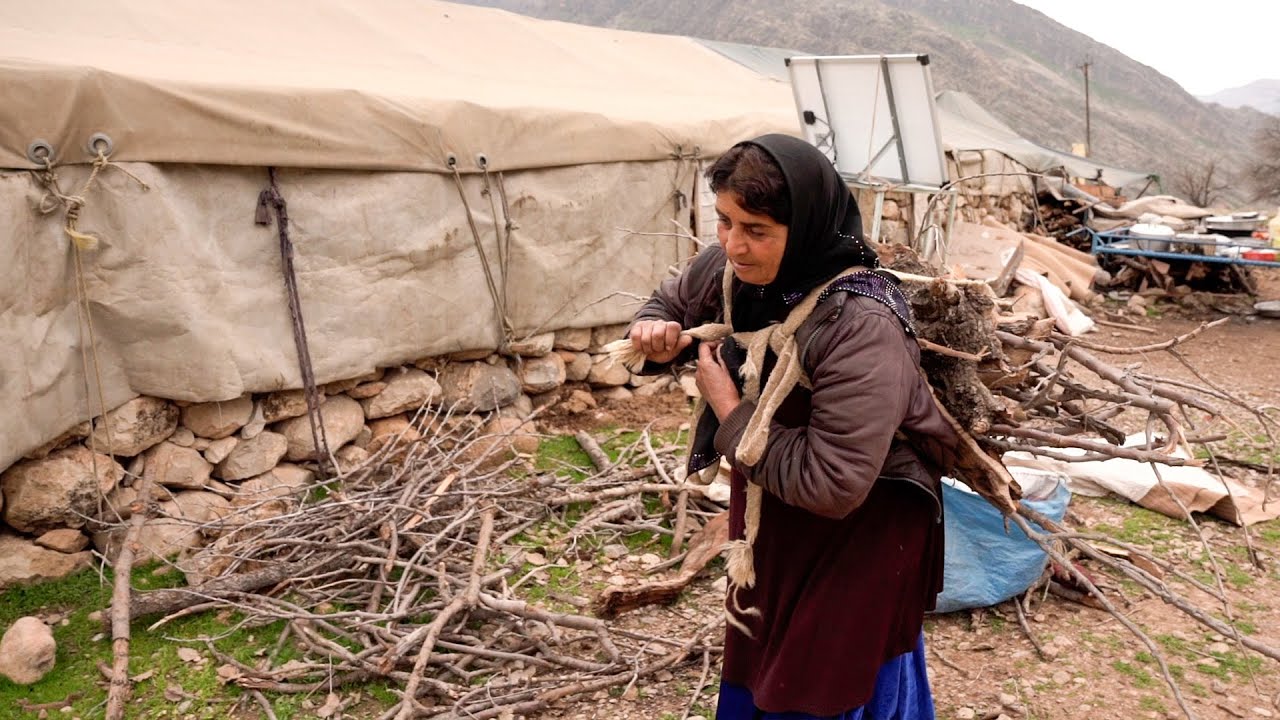 Collecting firewood by Iranian nomads - Nomadic women do very hard work ...
