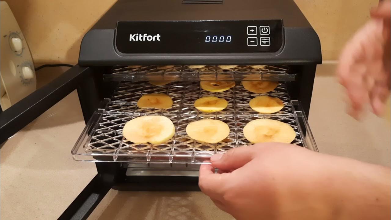 Сушилка для овощей и фруктов Kitfort (Китфорт) КТ-1905 - YouTube