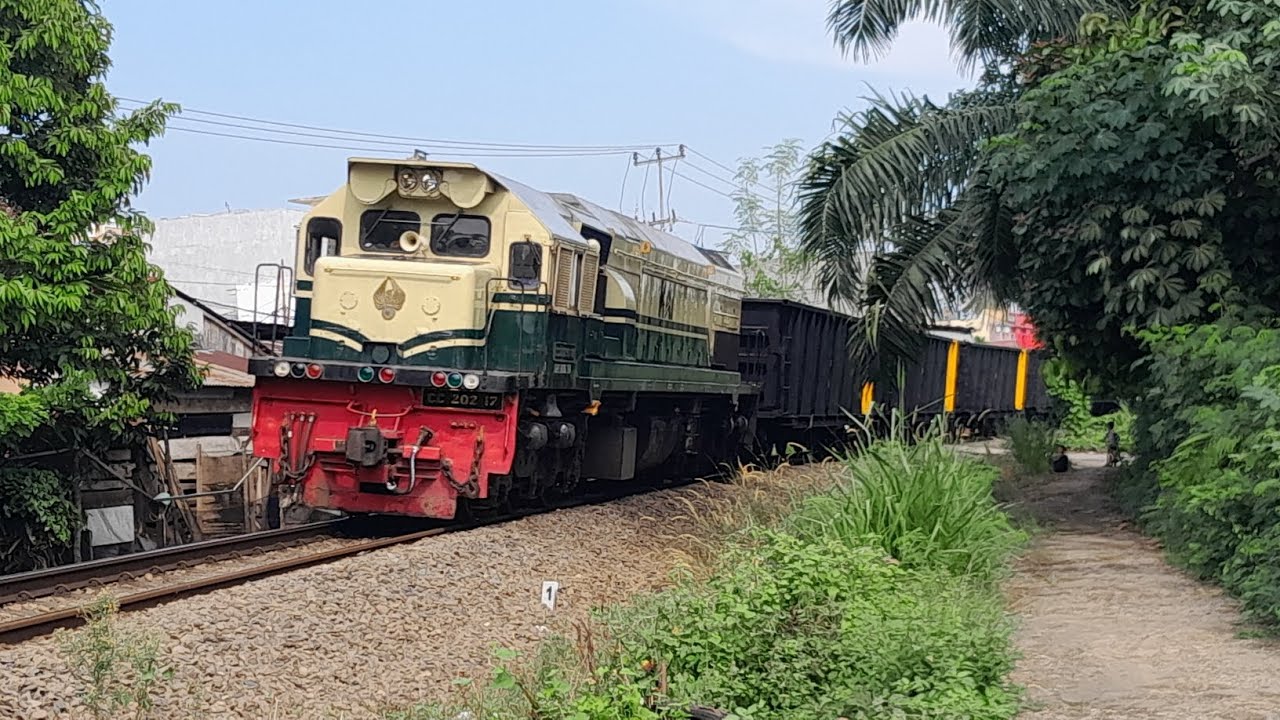 CC202 Vintage Single Menarik Babaranjang? Emang Kuat? - YouTube