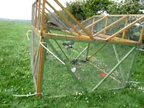 ladder trap - YouTube