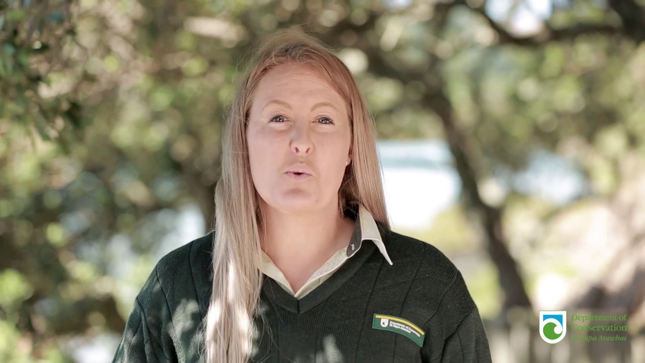 Explore our marine reserves this summer - YouTube