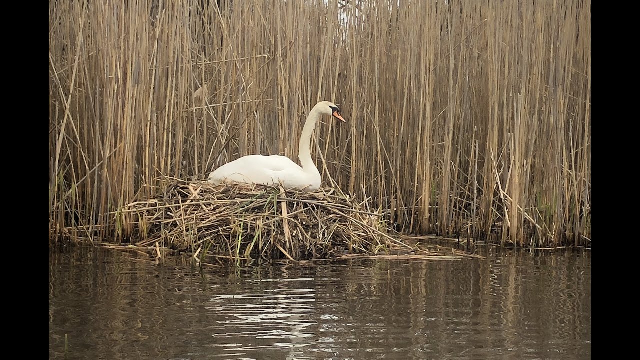 Kayaking and Fishing at the Ames Long Pond. - YouTube
