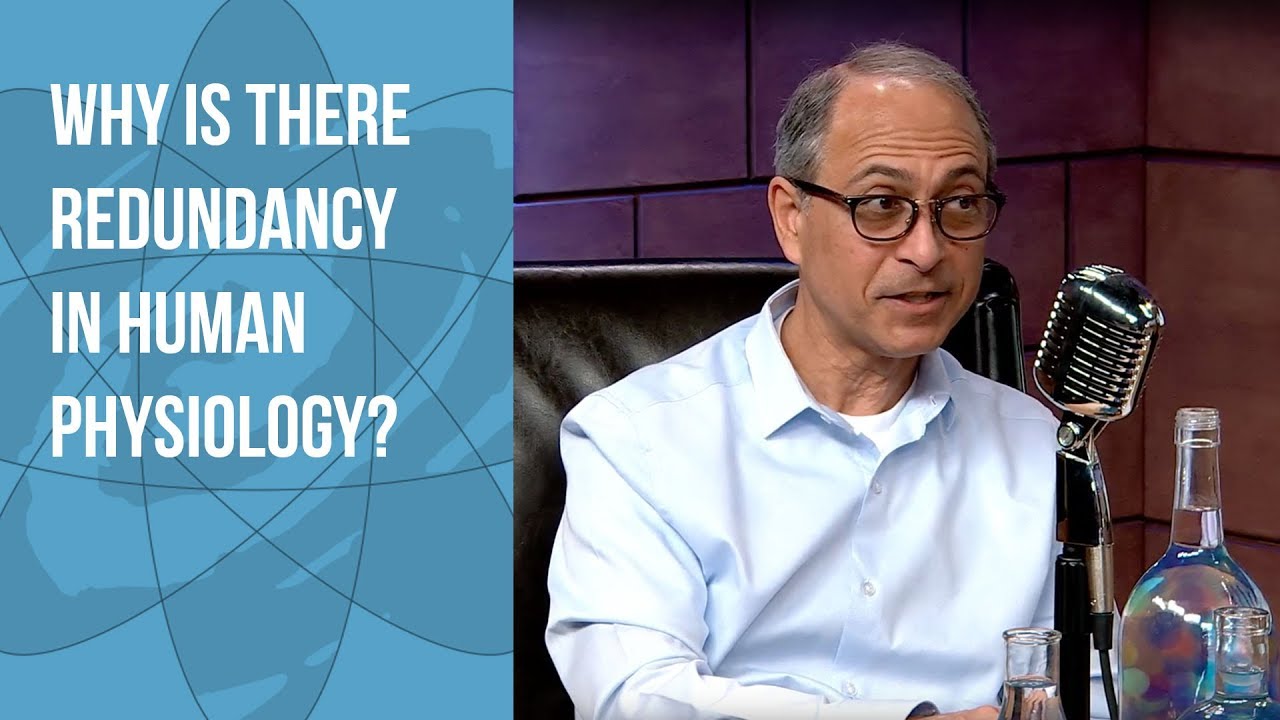 Why Is There Redundancy in Human Physiology? - YouTube