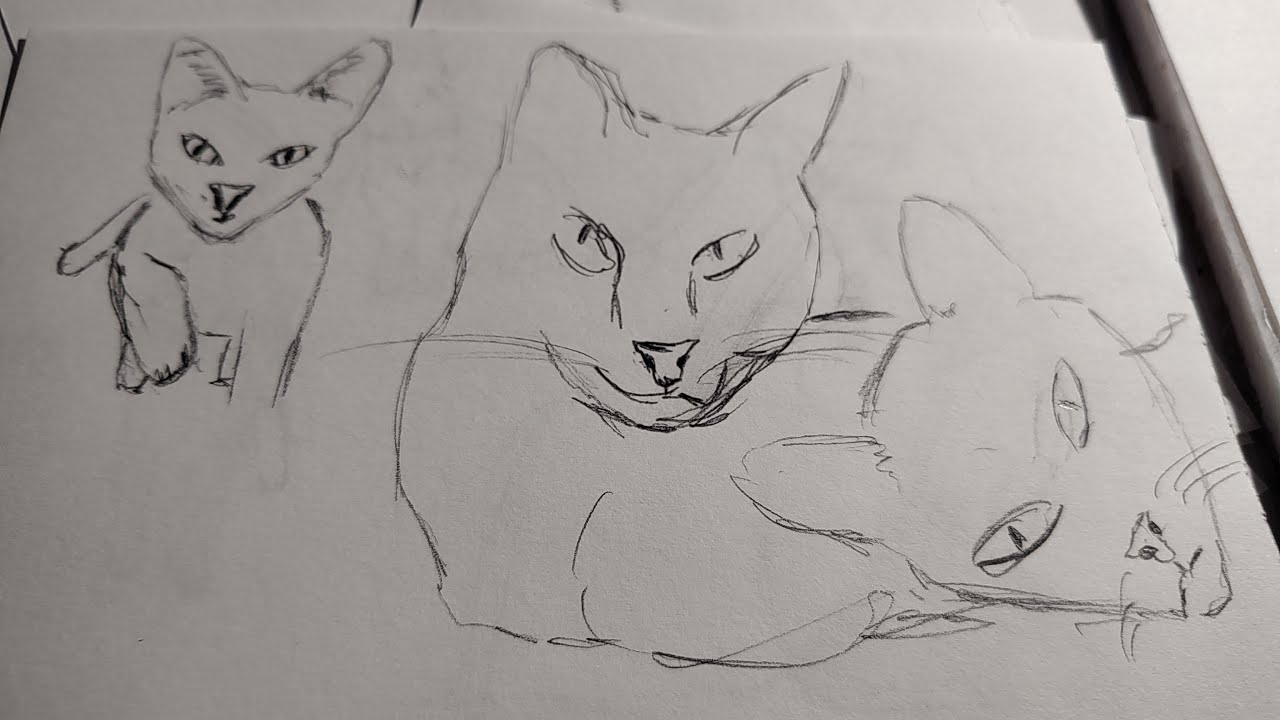 Drawing Cat Poses Pt9 HOUR 215/10K - YouTube