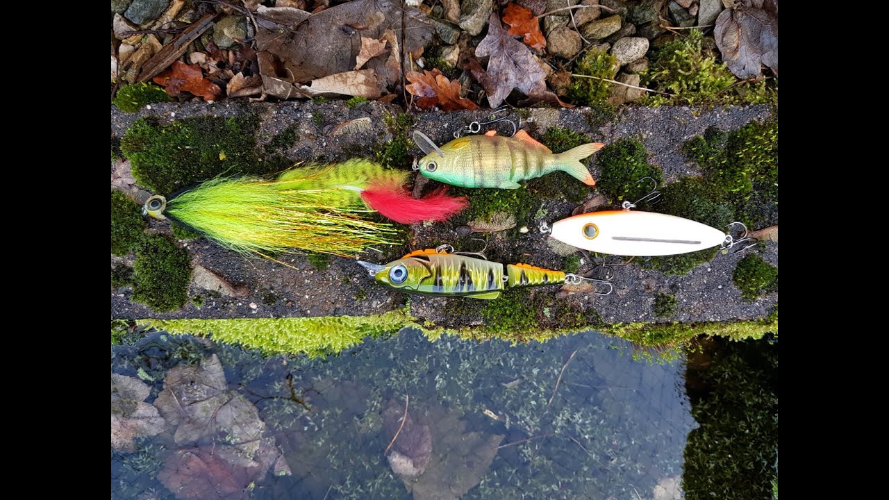 Total Fishing Tips ‘n Trics: Dom, dommer, domst? - YouTube