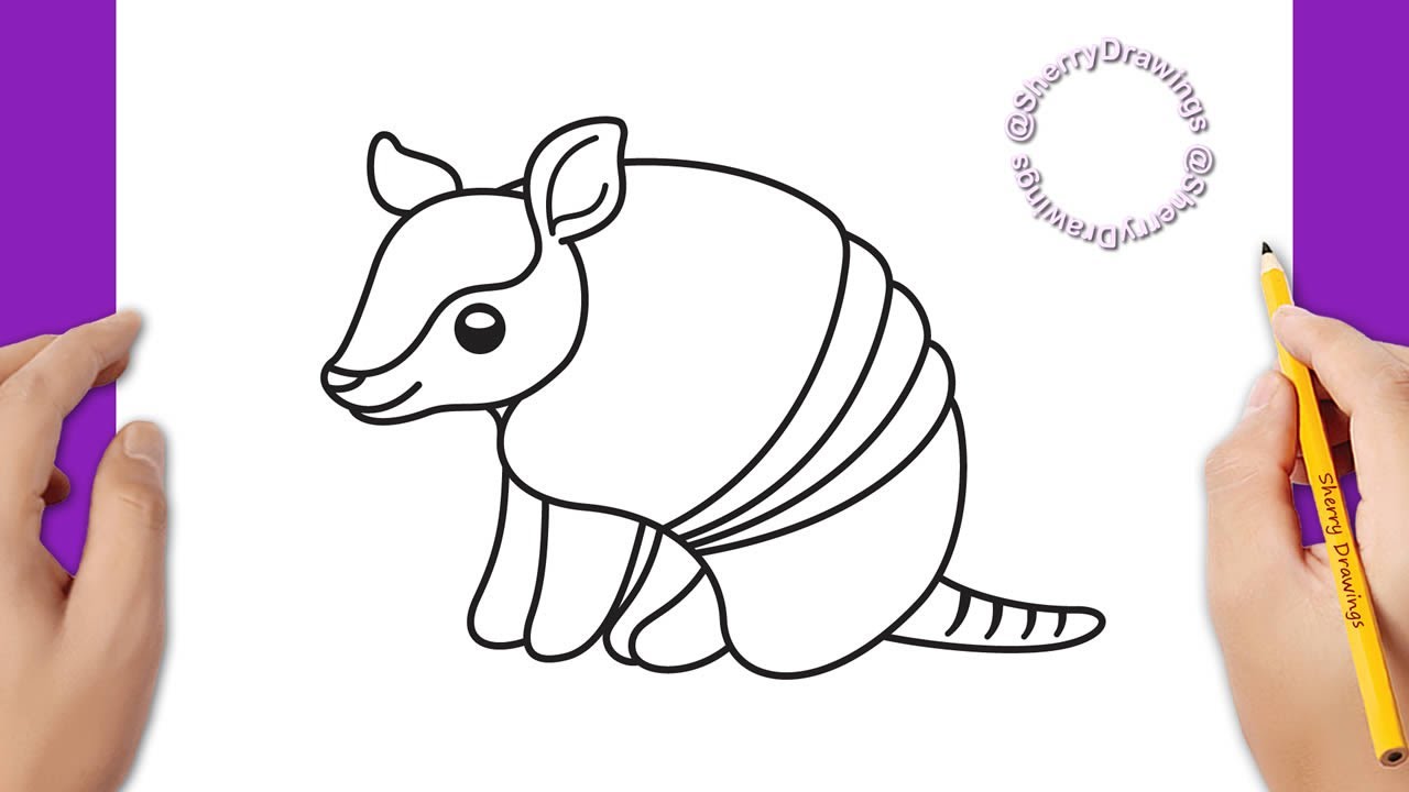 How to draw an armadillo easy - YouTube