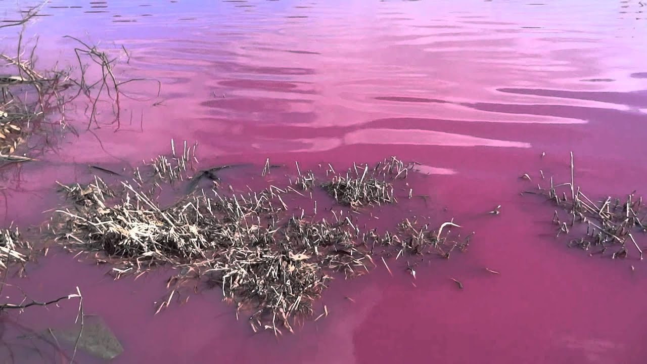 Australia, Bloody Lake, WOW, Unbelievable! - YouTube