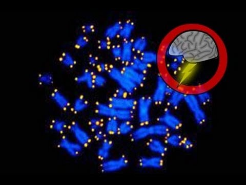 FIRST Anti-Aging Gene Therapy (Brainstorm Ep72) - YouTube