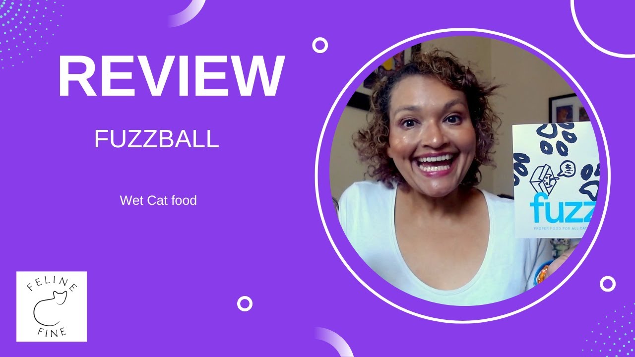 Review of Fuzzball wet cat food - YouTube