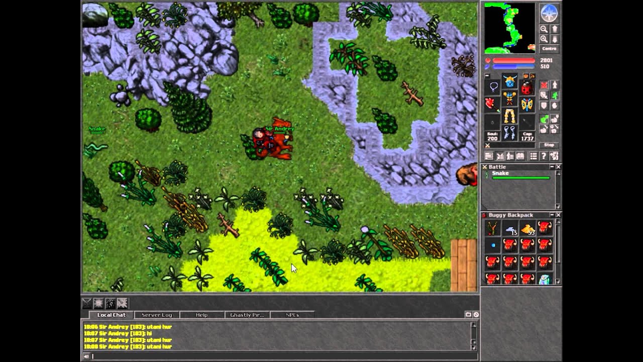 Tibia: Domando o War Bear! - YouTube