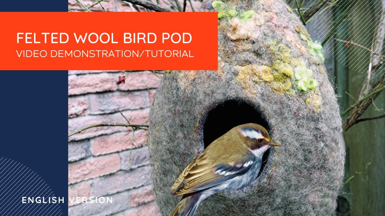 How to make wet felted wool bird pod - video demonstration/tutorial ...