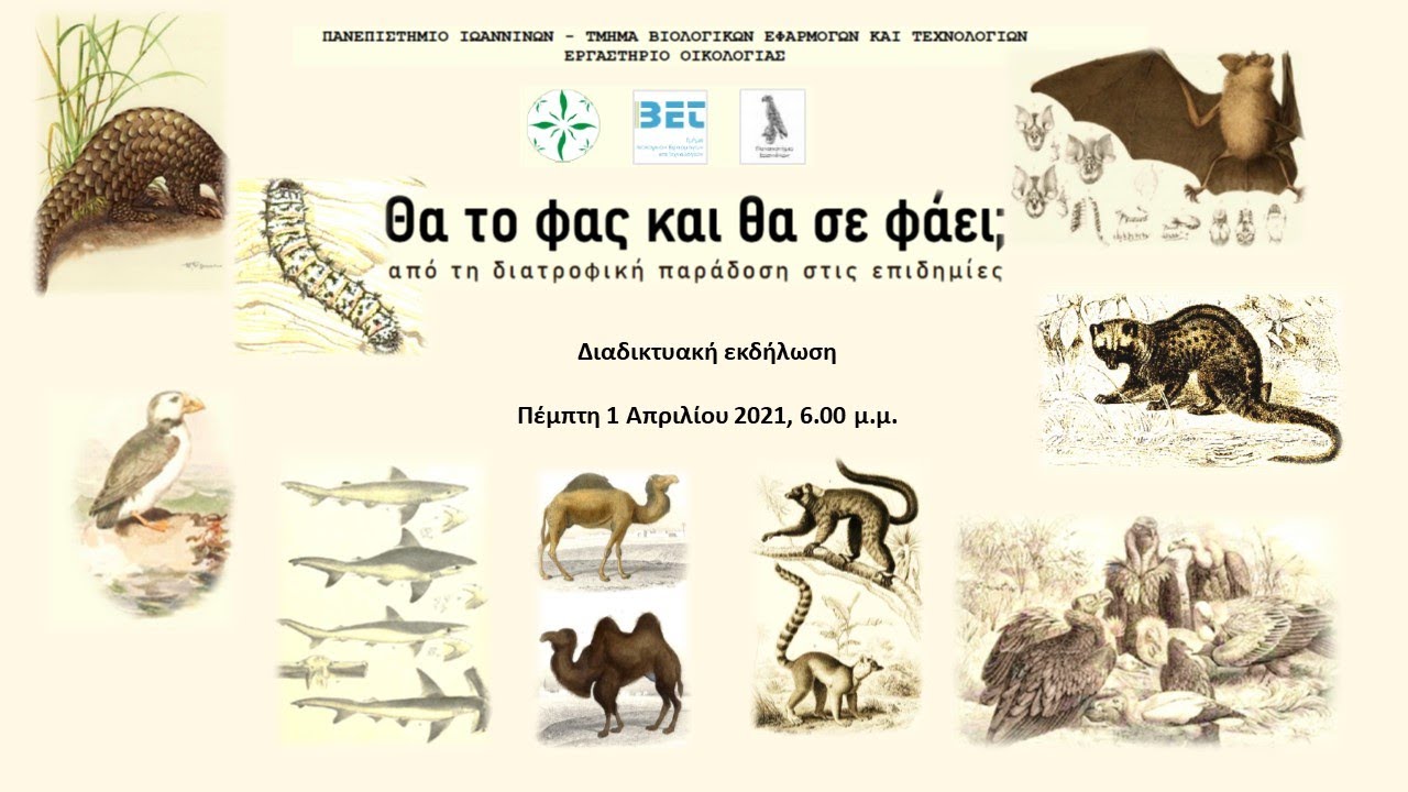 Θα το φας και θα σε φάει: Από τη διατροφική παράδοση στις επιδημίες ...