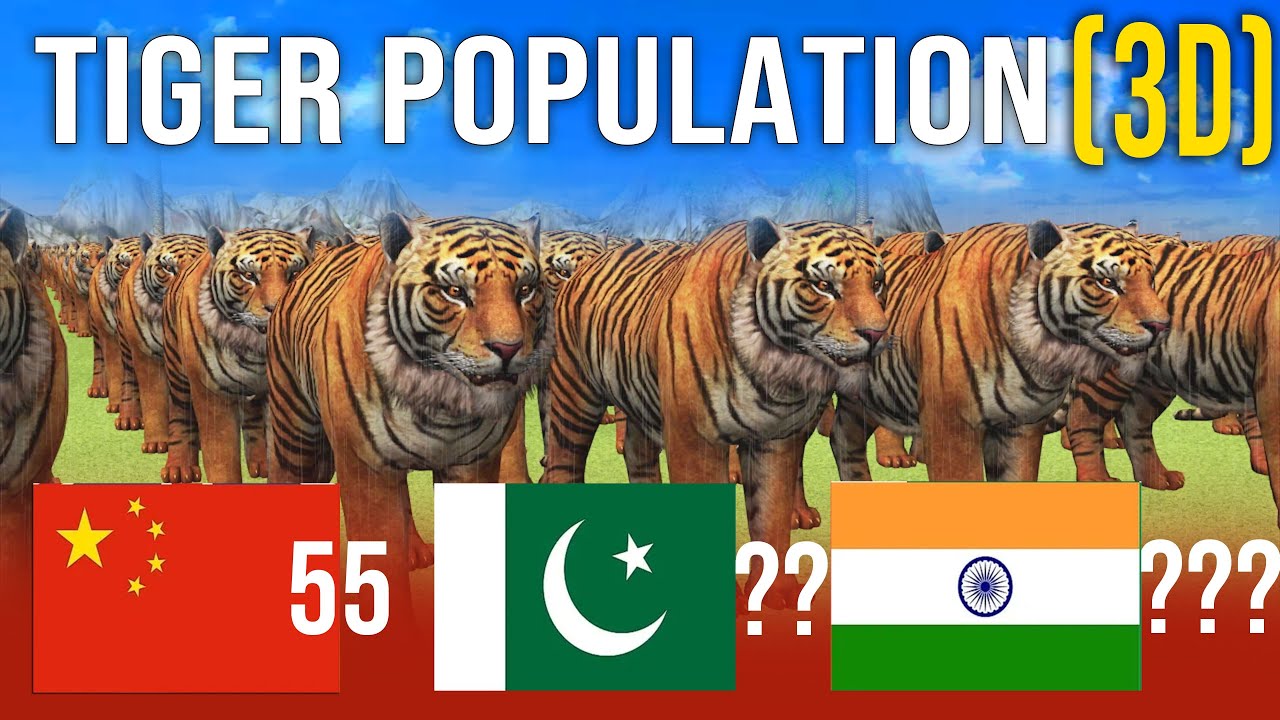 Tiger population by Country 2023 Yukistats comparisons 3D- tiger ...