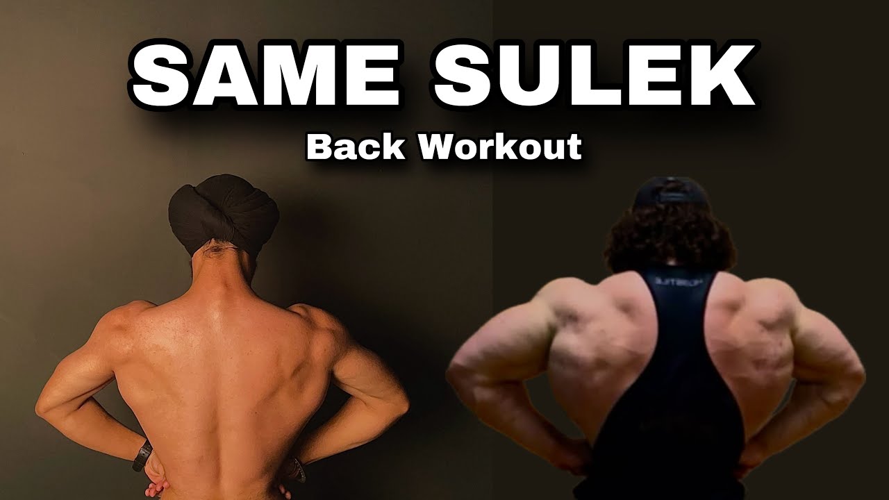 SAM SULEK Back day 💪🏻 | PUSH DAY | Road to Bulk🦍 #samsulek #backworkout ...