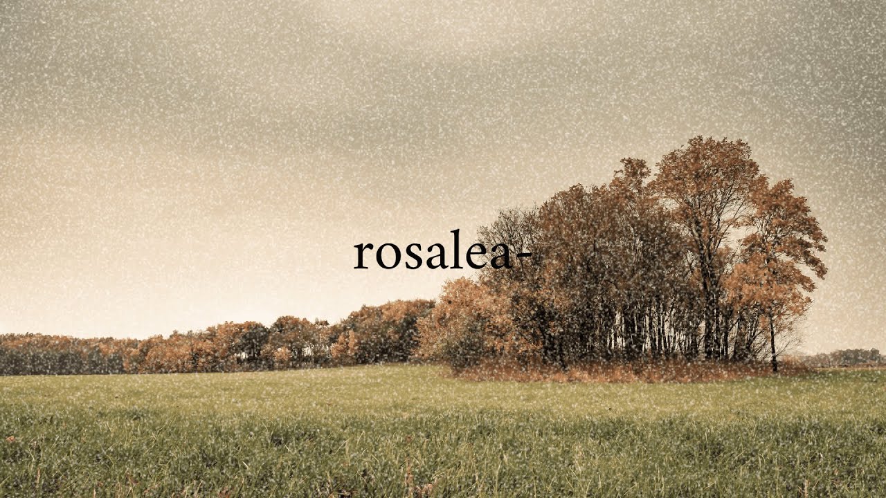rosalea // relaxing playlist - YouTube