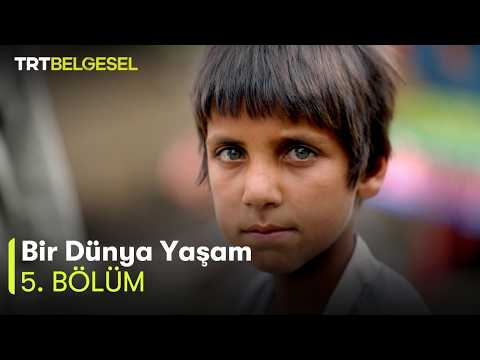 Bir Dünya Yaşam 5. Bölüm | Pakistan: İkiz Şehirlerin Yükünü Çekenler | TRT Belgesel
