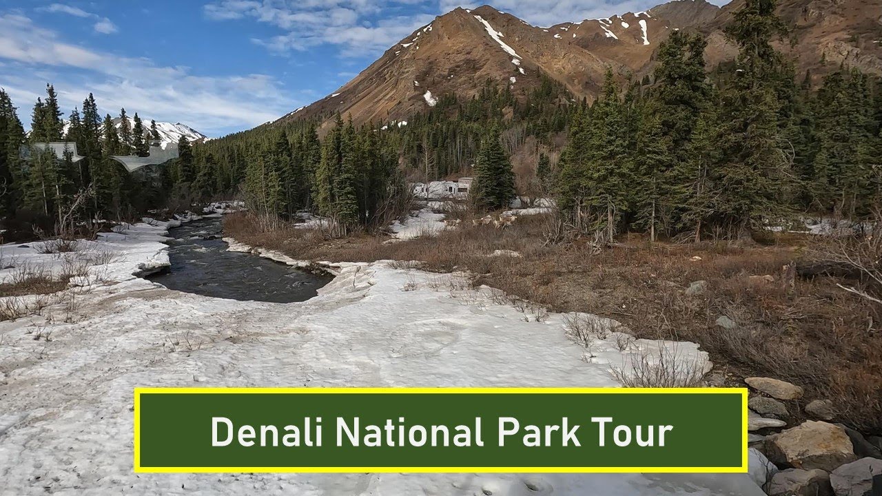 Denali National Park: Must-See Bus Tour Highlights - YouTube