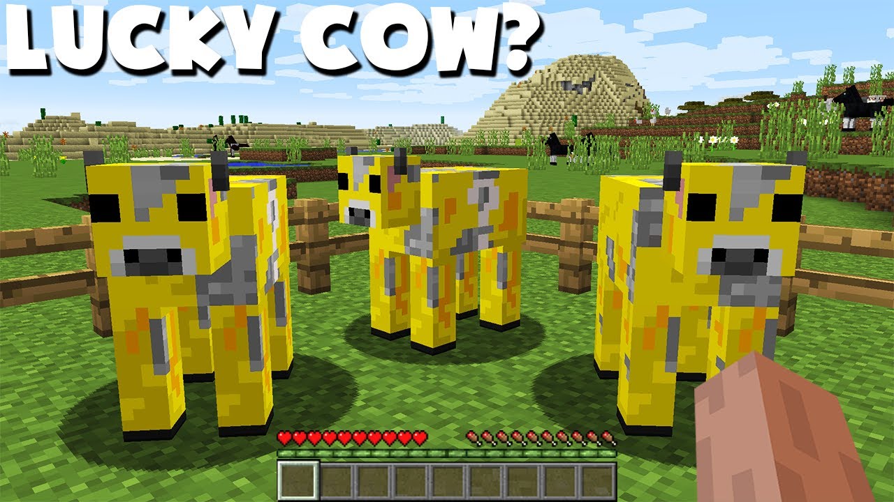 HOW to GET a FARM of LUCKY COWS in Minecraft ??? Lucky Block Cow !!! by ...