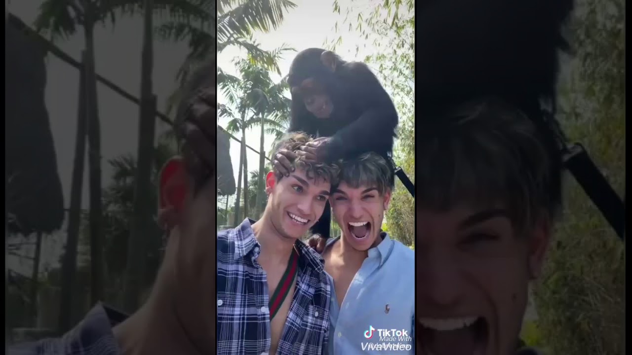 Small Dobre brothers tik tok completion - YouTube