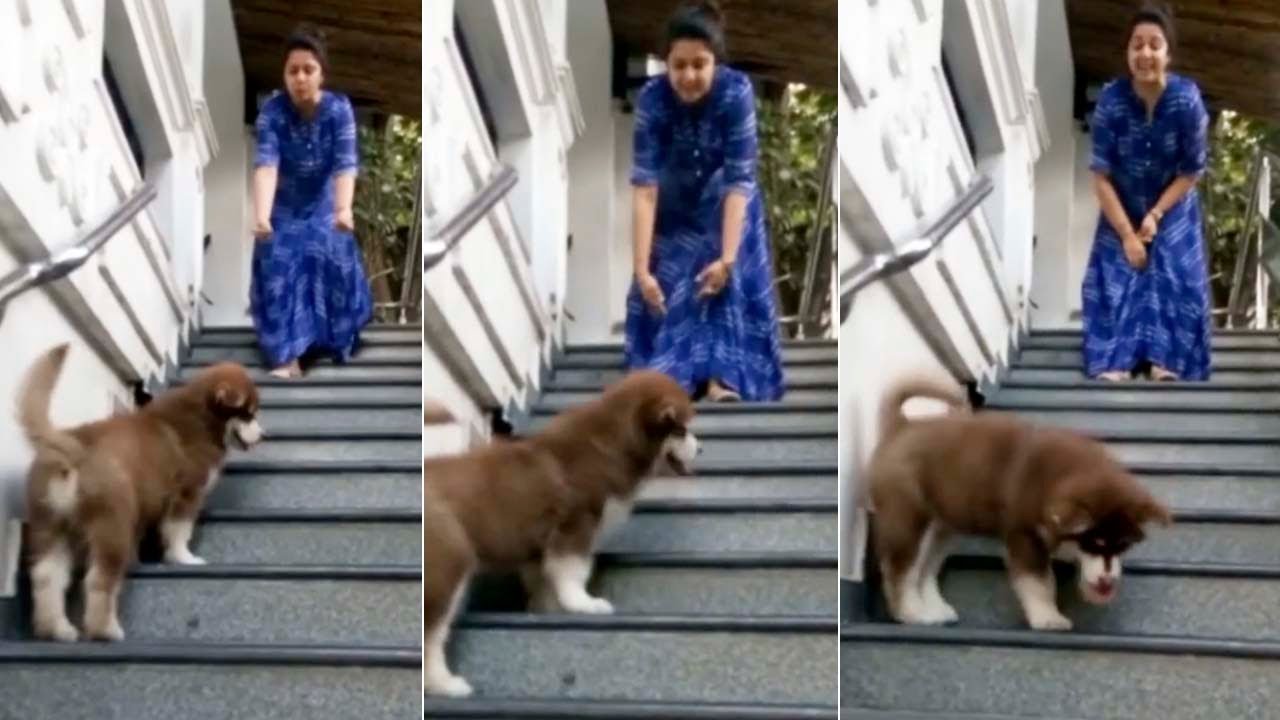 Charmi Kaur Playing With Her Dog | MS Entertainments - YouTube