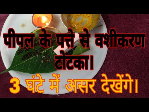 pipal Ke patte se vashikaran totka|| pipal Ke patte se Vashikaran video ...