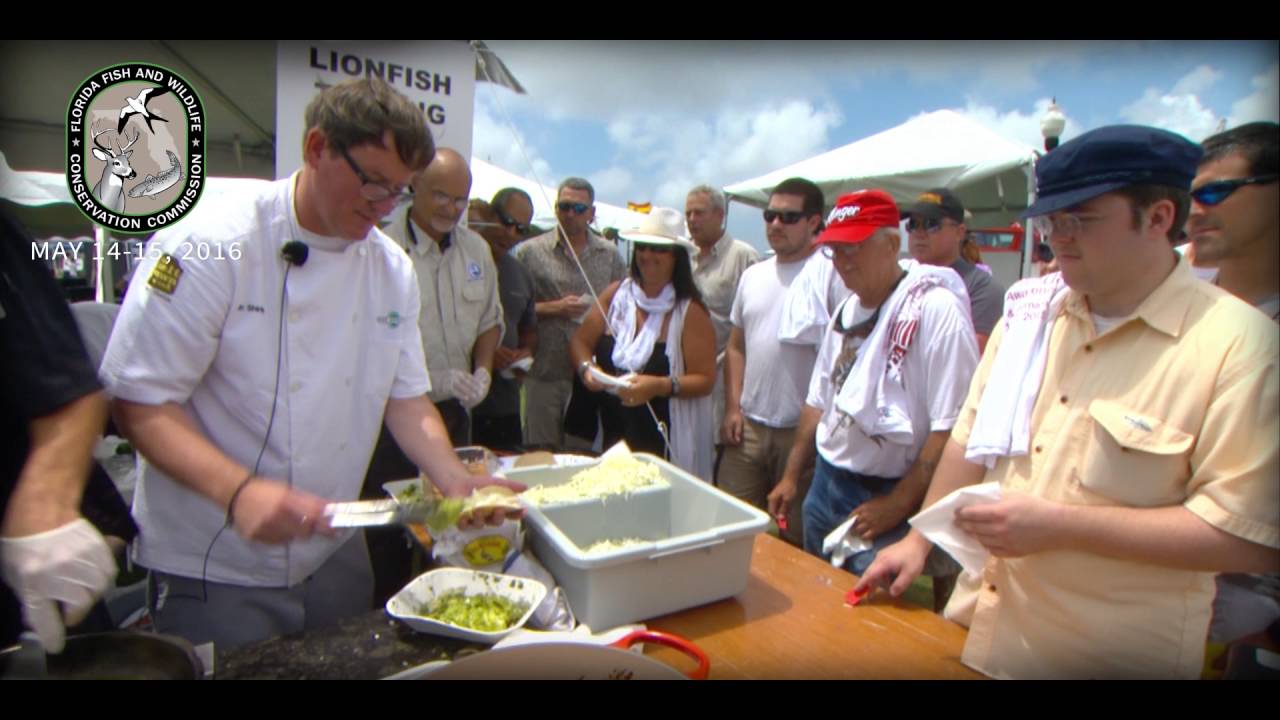 Lionfish Removal and Awareness Day 2016 - YouTube