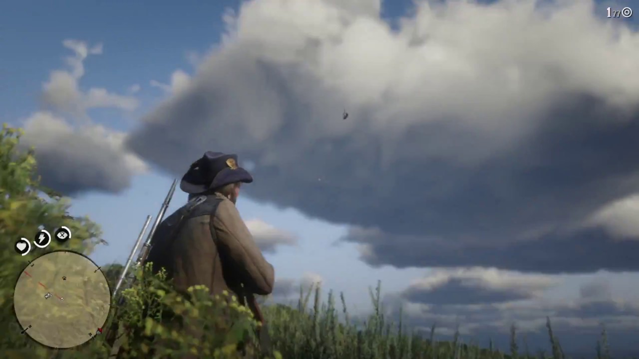 Red Dead Redemption 2 Pheasant Kill - YouTube