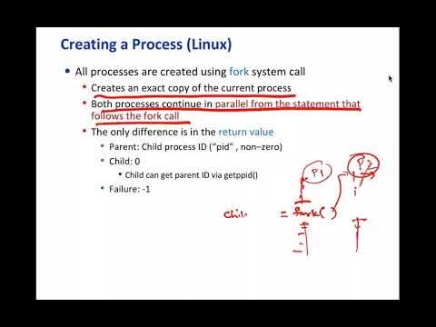 CS310 Lecture 7 Process fork system call - YouTube