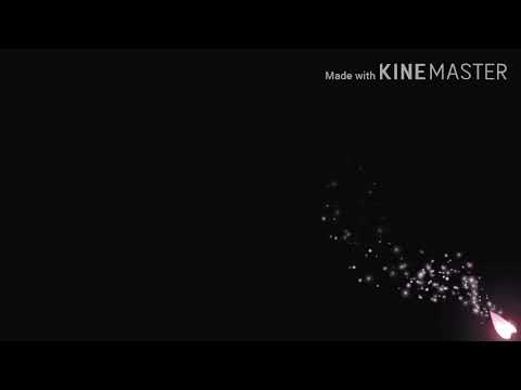 Mr. Love Queen's Choice amv