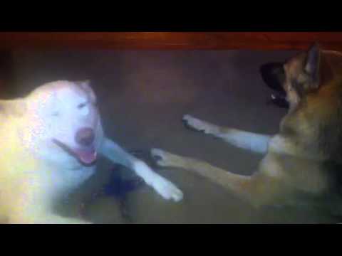 Lady in control! - YouTube