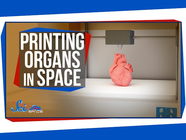 3d Printed Organs In Space