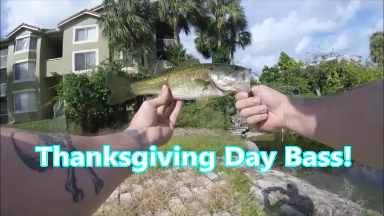 Thanksgiving Day Backyard Bass Fishing! - YouTube