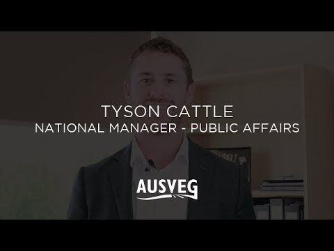 Introducing Tyson Cattle: AUSVEG National Manager - Public Affairs ...