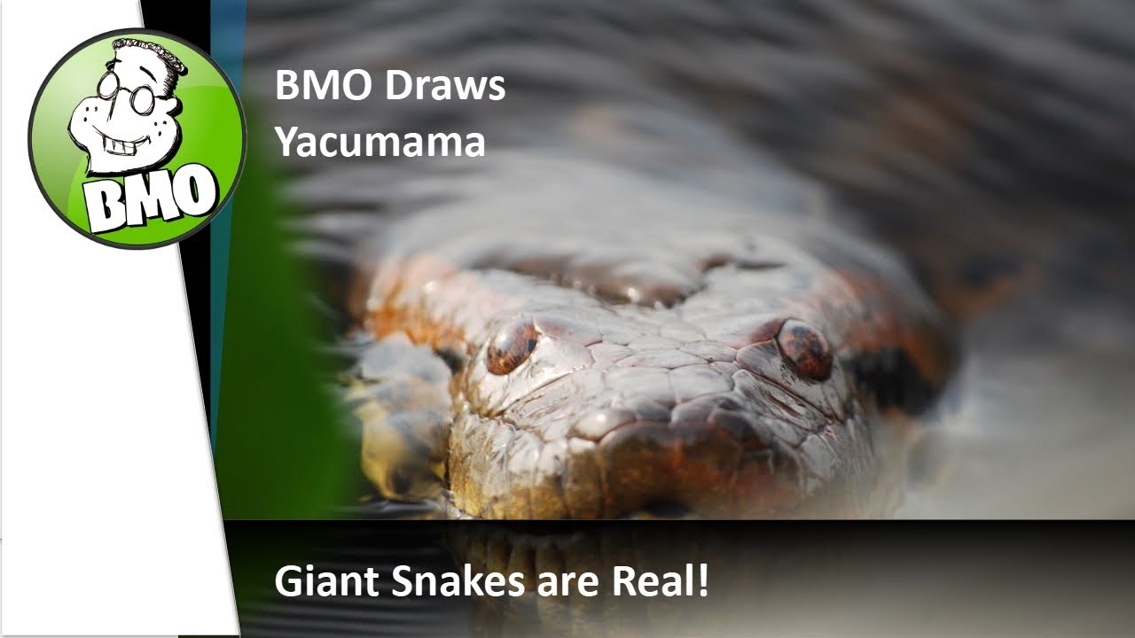 BMO Crypto - Giant Snakes are Real! - YouTube