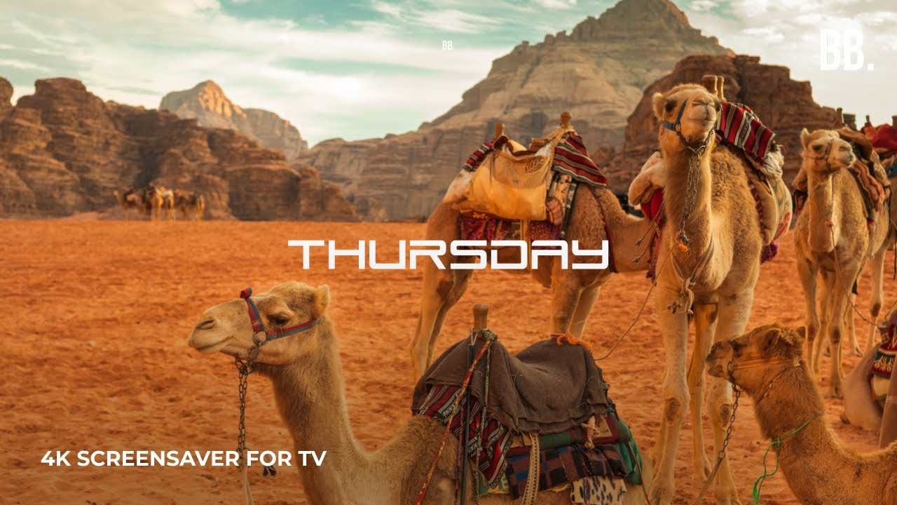 4K Thursday Desert Screensaver with Nature Sounds | 4K Desert Wildlife ...