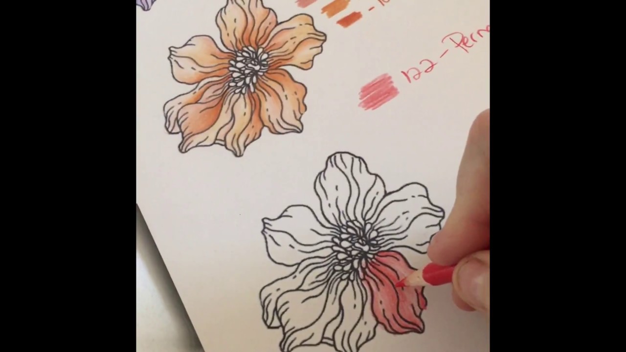 Flower Coloring Tutorial - Red Flower Tones Lisa Brando Extreme ...