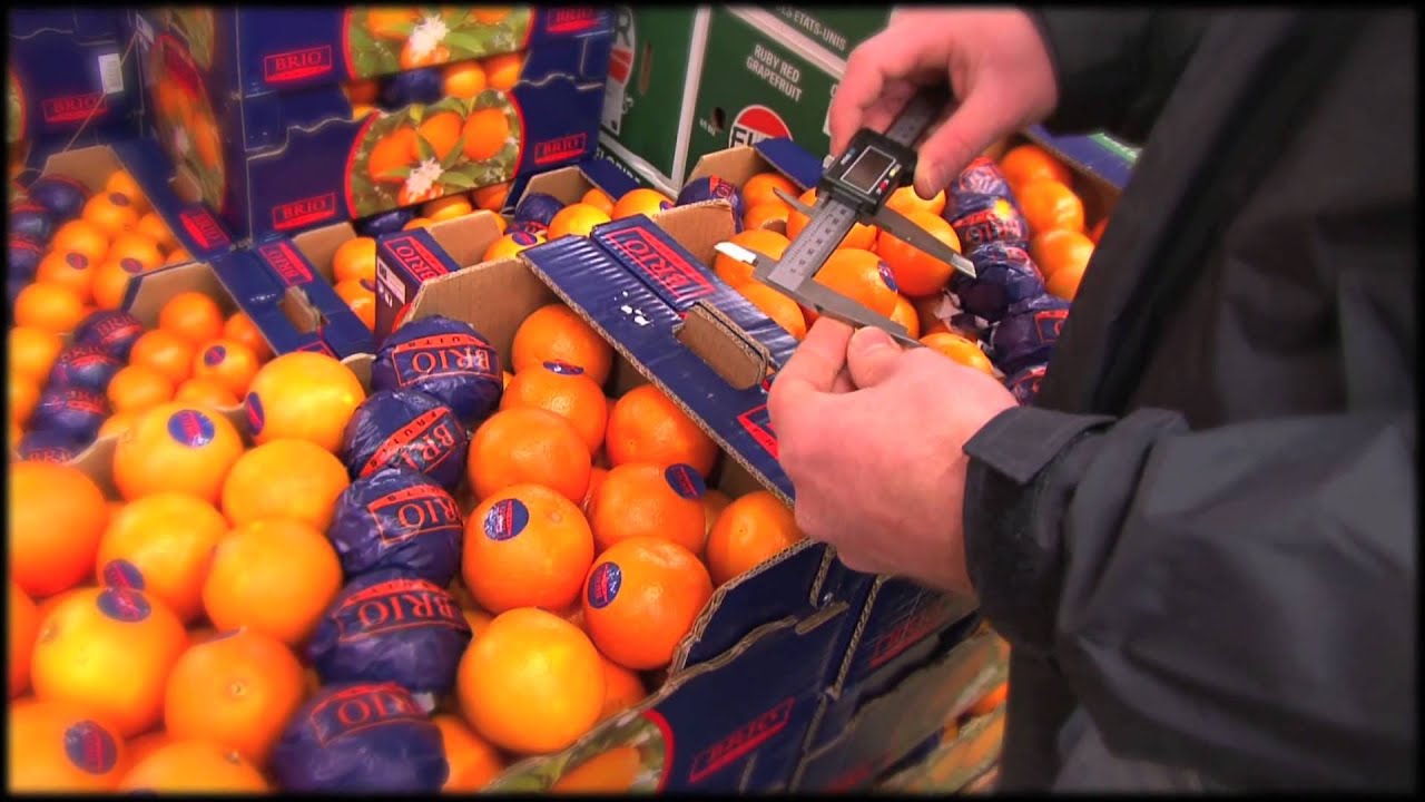 Brio Fruits - YouTube