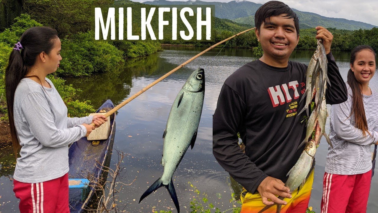 CATCHING MILKFISH | VERY RELAXING VIEW | BONDING WITH TEAM HITIK | vlog ...