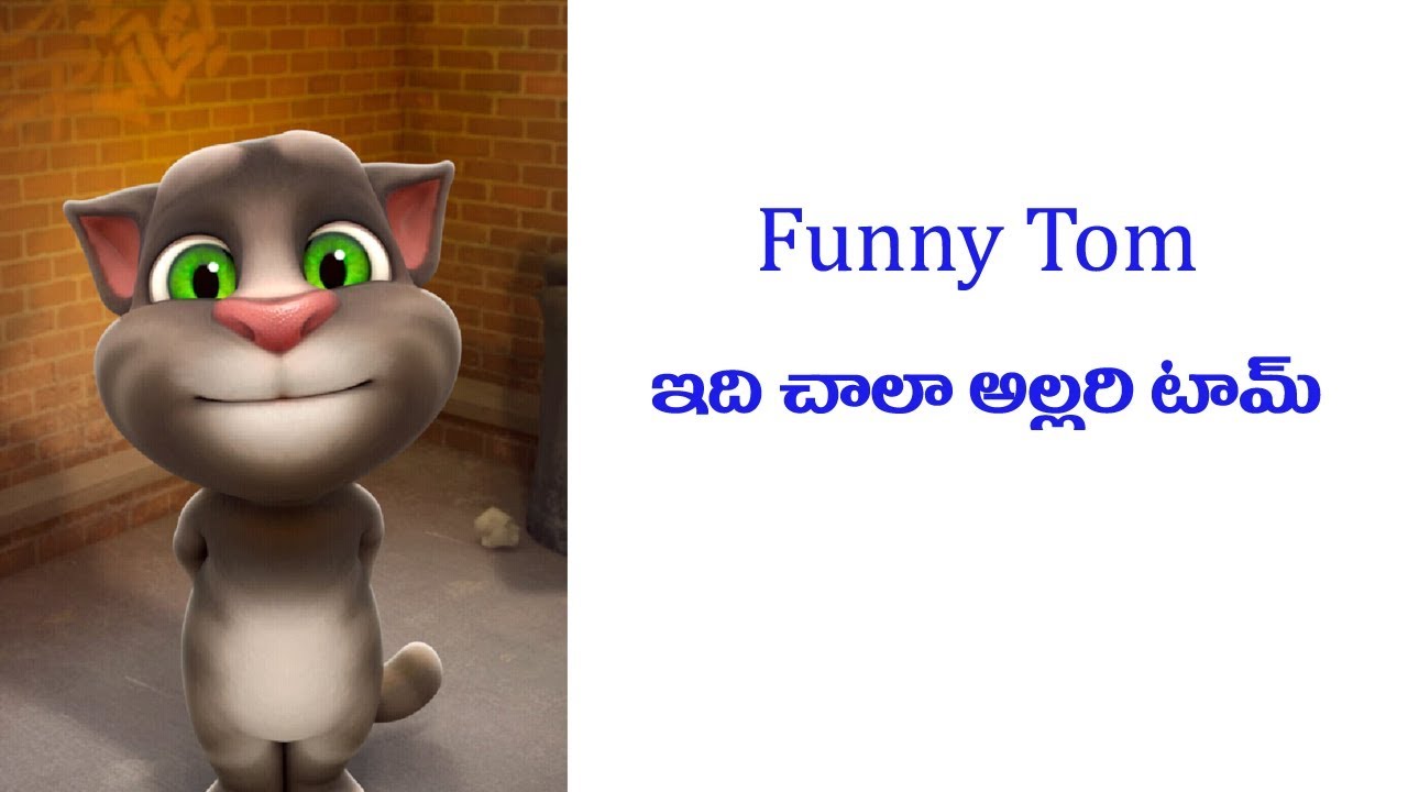 funny tom - YouTube