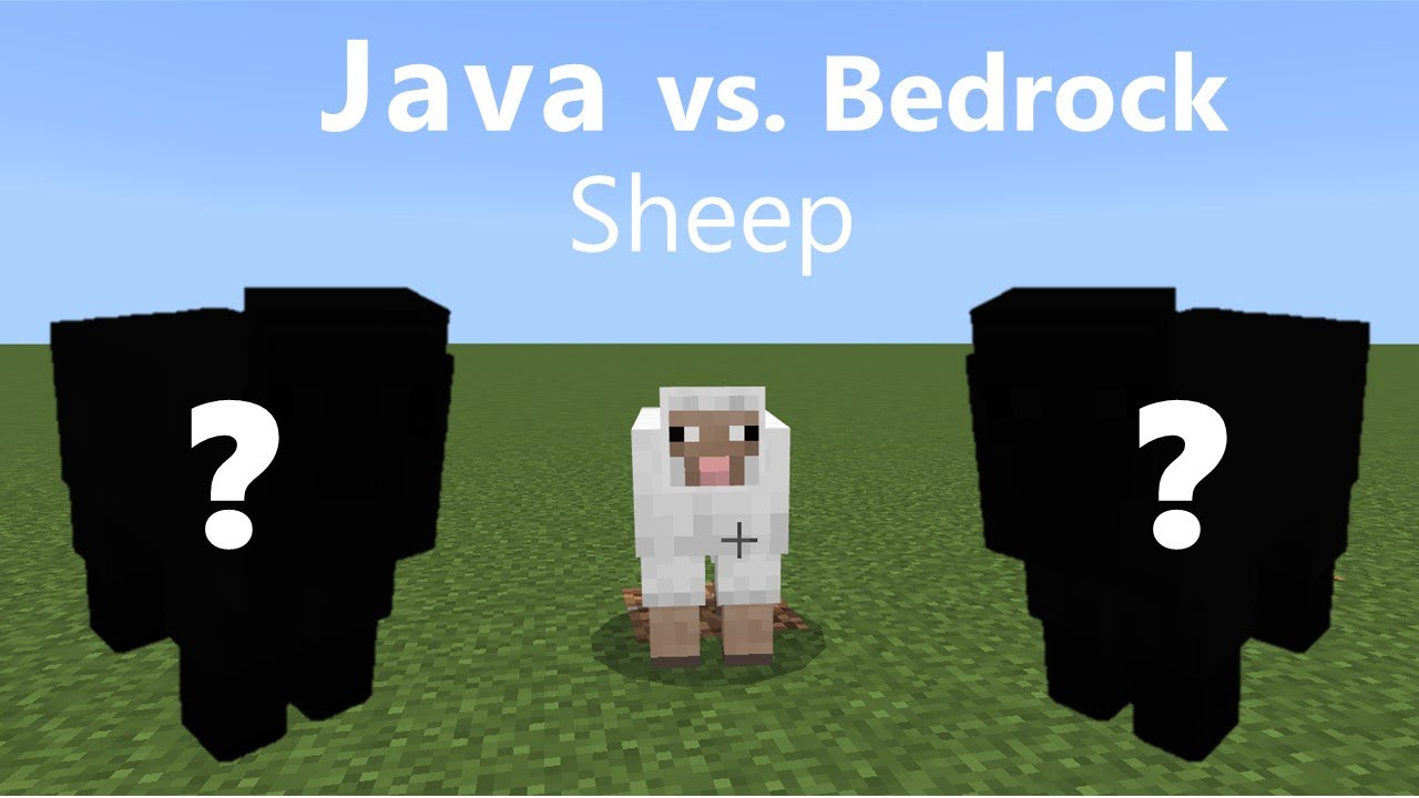 Java vs. Bedrock: What colour is baby sheep? - YouTube
