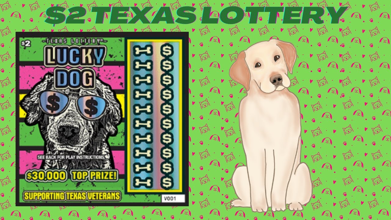 Cool Cats and Lucky Dogs $2 Texas Lottery Scratch off. - YouTube