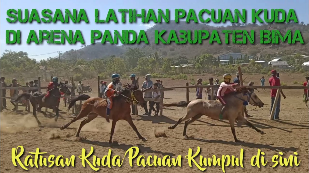 Suasana Latihan Pacuan Kuda (Tarene Jara) di Arena Panda, Kabupaten ...
