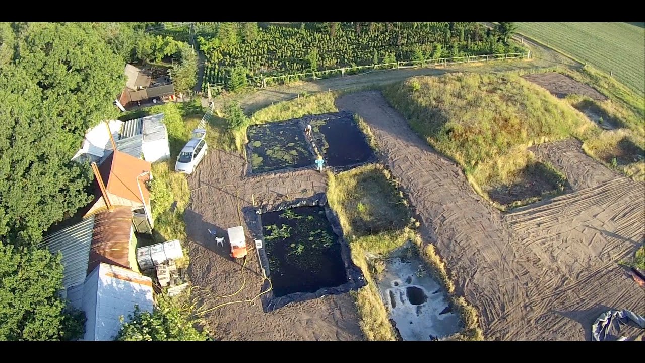 VMP SkyWatcher - Episode 2 - The Rise of Azolla (Aerial Scene) - YouTube
