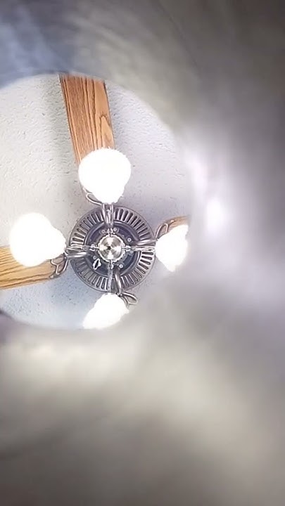 I spy Happy Cat - YouTube