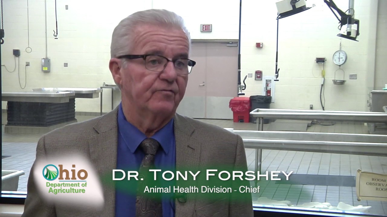 ODA Division Spotlights - Animal Health 1 - YouTube